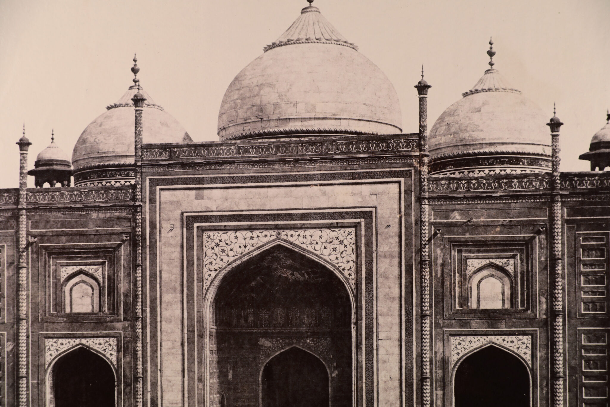 Photographic Identification Course – Conserve Photography